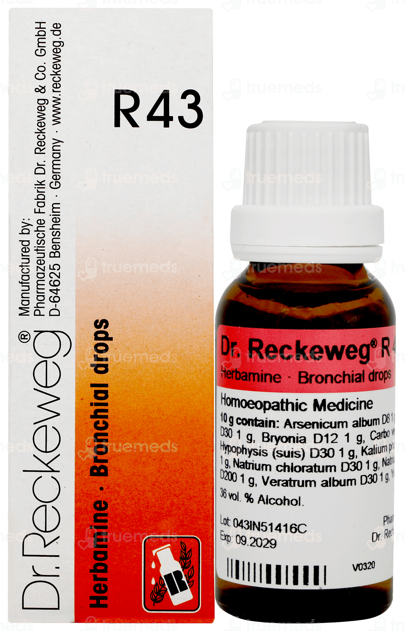 Dr Reckeweg R43 Bronchial Drop 22 Ml - Uses, Side Effects, Dosage ...