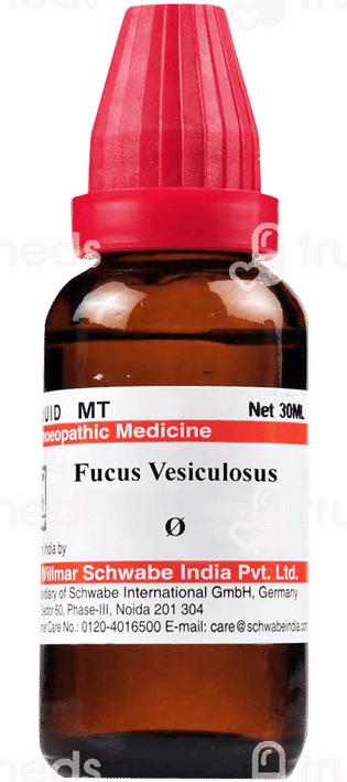 Dr Willmar Schwabe India Fucus Vesiculosus Q Mother Tincture 30 Ml ...