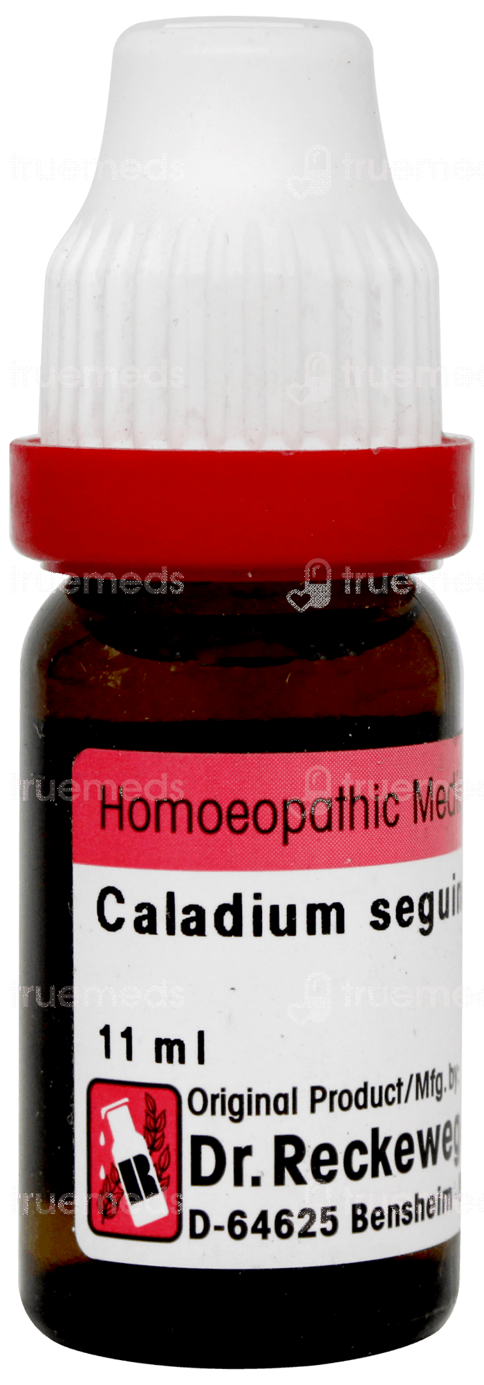 Dr Reckeweg Caladium Seguinum 1m Dilution 11 Ml - Uses, Side Effects ...