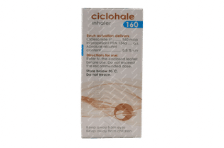 Ciclohale 160 Mcg Inhaler 120 Mdi - Uses, Side Effects, Dosage, Price ...