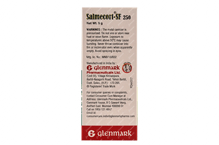 Salmecort Sf 250/25 MCG Inhaler 150 M | Order Salmecort Sf 250/25 MCG ...