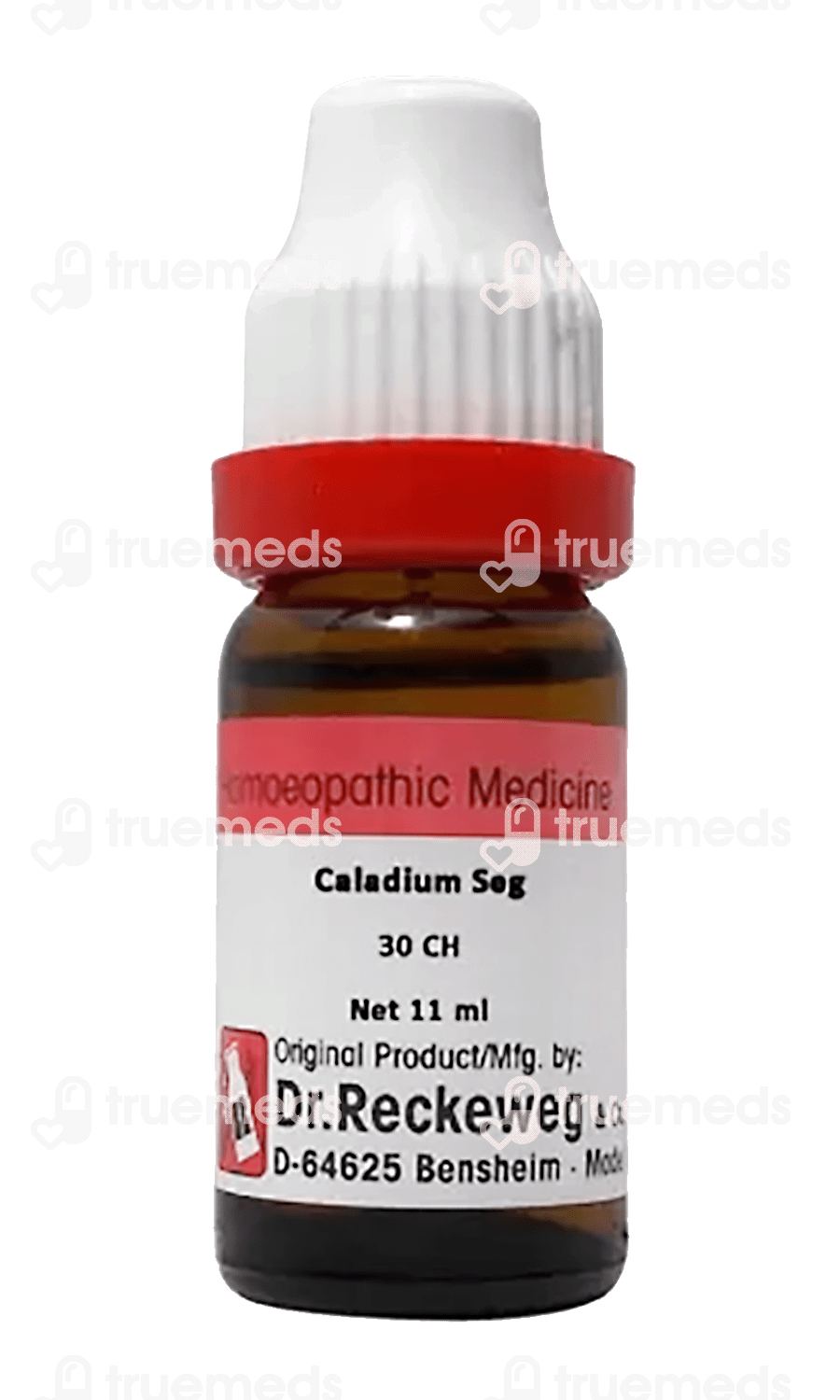 Dr Reckeweg Caladium Seg 30 Ch Dilution 11 Ml - Uses, Side Effects ...