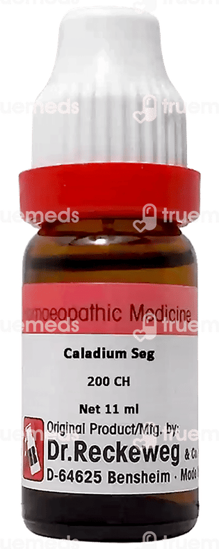Dr Reckeweg Caladium Seg 200 Ch Dilution 11 Ml - Uses, Side Effects ...