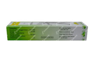 Sallaki Ointment 30 Gm - Uses, Side Effects, Dosage, Price | Truemeds