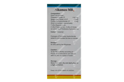 Alkamax Mb6 1100/375 MG Syrup 450 ML | Order Alkamax Mb6 1100/375 MG ...