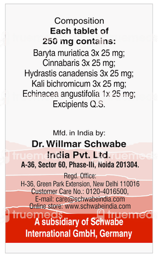 Dr Willmar Alpha Sh Tablet 20 Gm - Uses, Side Effects, Dosage, Price ...