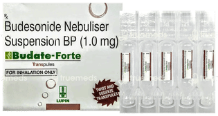 Budate Forte 1 MG Transpules 2 ML (pack Of | Order Budate Forte 1 MG ...