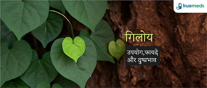 Jungle Jalebi: Uses, Benefits & Side-Effects | Truemeds