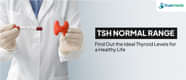 TSH Normal Range Thyroid Levels For Men Women
